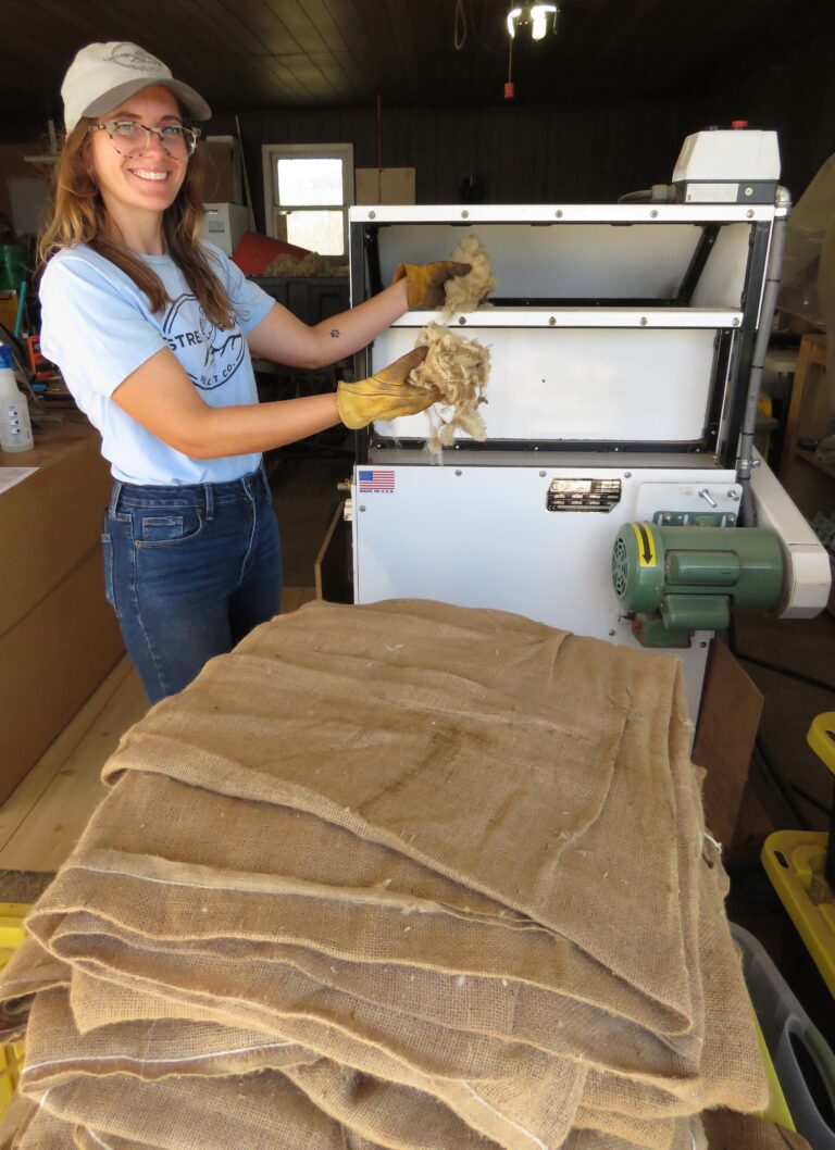 Sheep producers send tons of wool to landfills. A Nebraska business ...