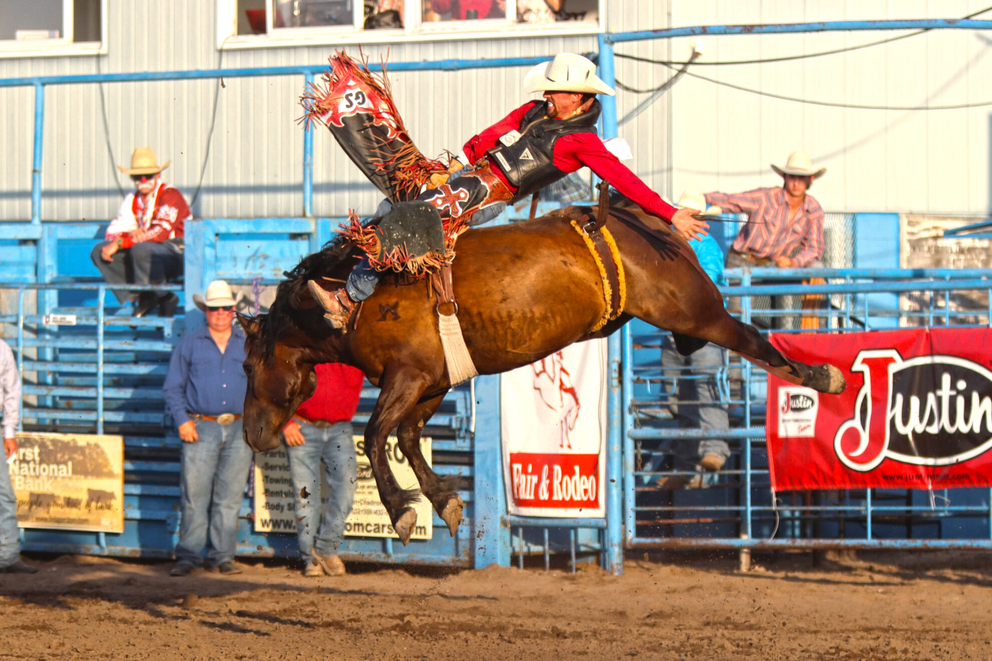 Amid rodeo's rising popularity, one Nebraskan is riding toward the top ...